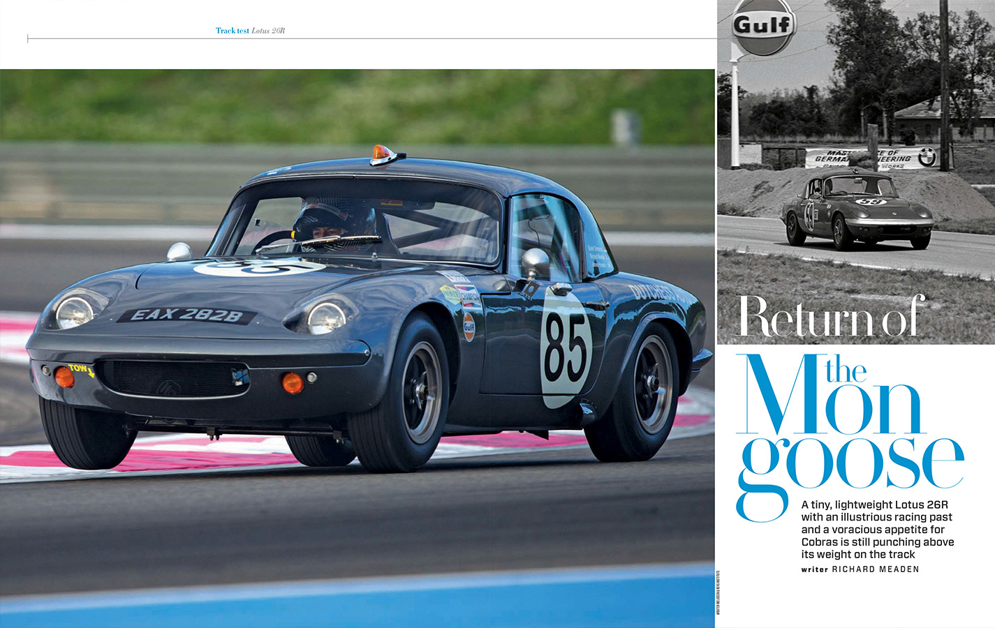 Return of the Mongoose